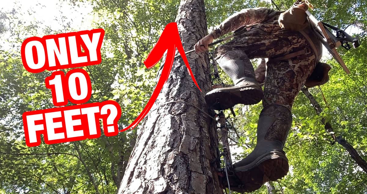 How Many Climbing Sticks Do I Need for Saddle Hunting?